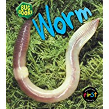 Worm (Bug Books) (Bug Books) by Jill Bailey (9780431019017)