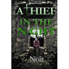 A Thief in the Night by Trace Noir (9780996022729)