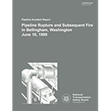 Pipeline Accident Report: Pipeline Rupture and Subsequent Fire in ...