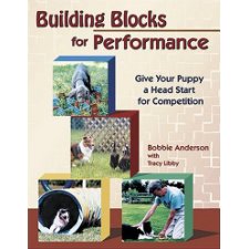 Building Blocks for Performance by Bobbie Anderson, Tracy Libby ...