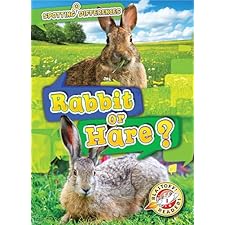 Rabbit or Hare? (Spotting Differences: Blastoff! Readers, Level 1) by ...