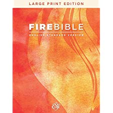 Fire Bible, English Standard Version, La by Donald Stamps, J Adams ...
