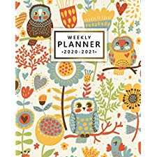 Weekly Planner 2020-2021: Vintage Cartoon Owls 2 Year Monthly Weekly ...