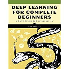 Practical Deep Learning: A Python-Based Introduction by Kneusel, Ron ...